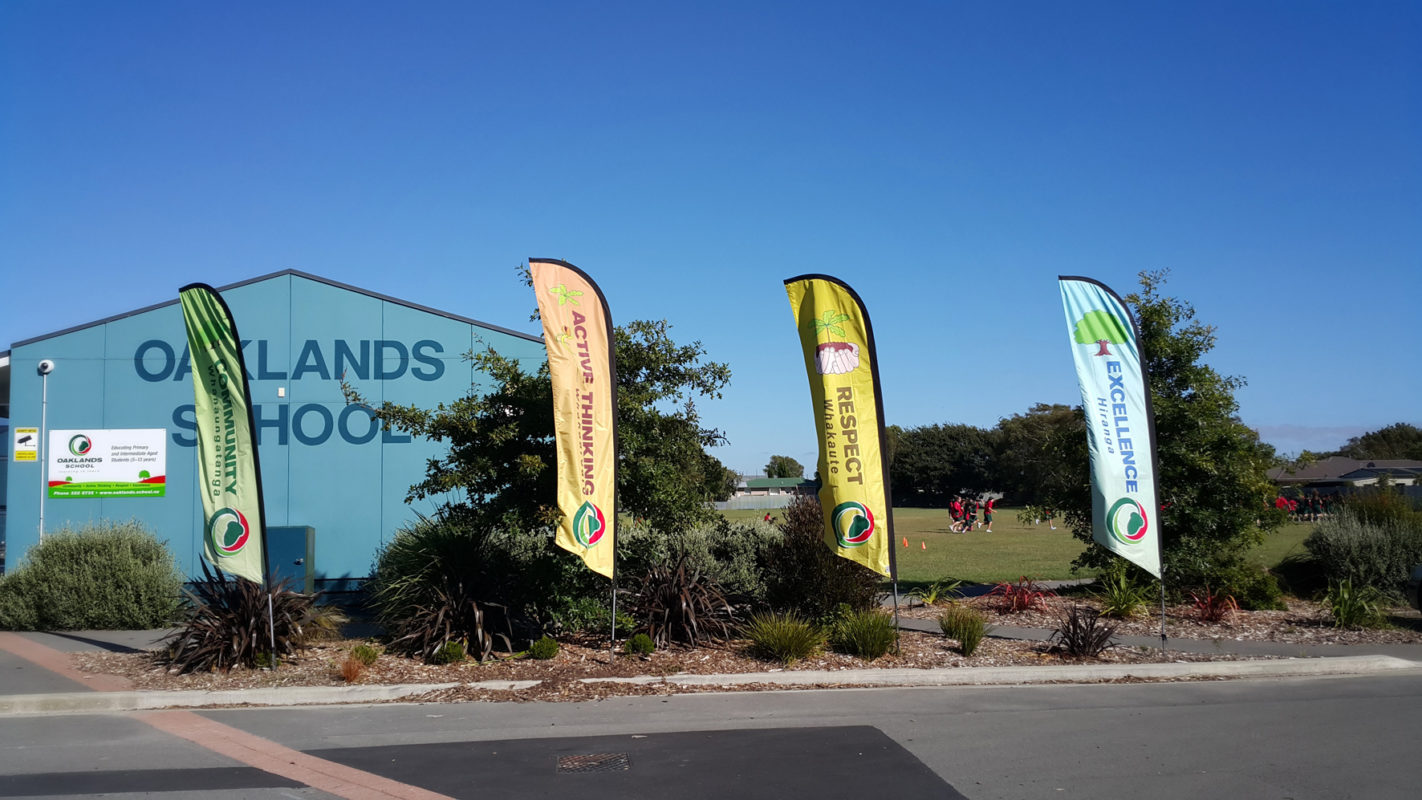 Values Flags - School Branding Matters