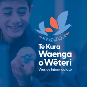 Wesley Intermediate Logo Design - School Branding Matters