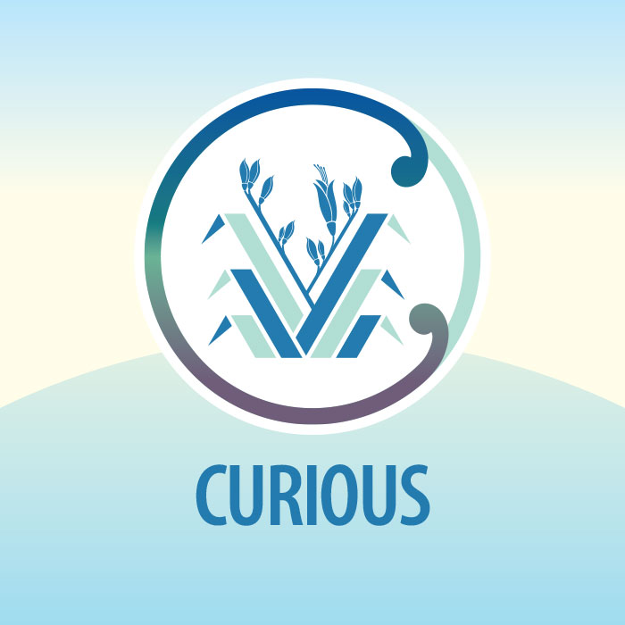 Salisbury School Curious Values Symbol - School Branding Matters